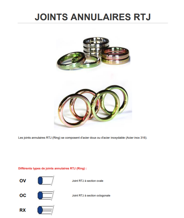 Etanchéité industrielle - JOINTS RTJ - CORNILLE SA : Etanchéité ...